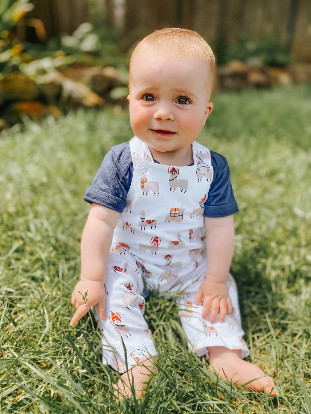 Asher Baby– Asher Market